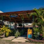 Discovery Taco Tour at Puerto Vallarta - What to Expect on the Discovery Taco Tour