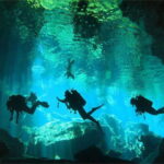 Dive Cenote - Exploring the Itinerary: What You Can Expect