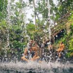 Dive Into Paradise: Cenote Tour - What to Expect from the Itinerary