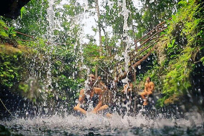 Dive Into Paradise: Cenote Tour - What to Expect from the Itinerary