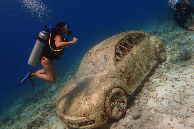 Diving in Cancun for Certified Divers | 2 Dives | All Inclusive - What You Can Expect from the Tour