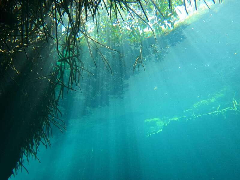 DIVING IN MAYAN CENOTES; THE LARGEST AQUIFER IN THE WORLD - The Logistics and Value