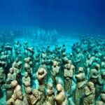 Diving + Muse - What’s Included and What’s Not