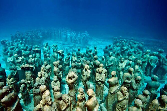 Diving + Muse - What’s Included and What’s Not