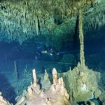 Diving package Cenotes exploration - Diving Experience and Logistics
