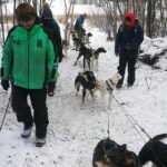 Dog Sledding - Final Thoughts