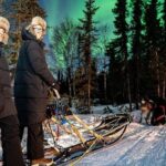 Dog Sledding and Northern Lights Combo Night - The Value of the Experience
