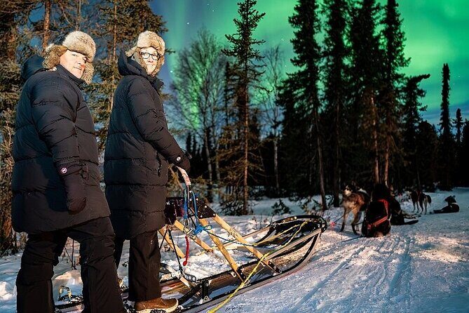 Dog Sledding and Northern Lights Combo Night - The Value of the Experience