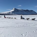 Dogsledding in the Heart of Alaska - Authenticity and Reviews