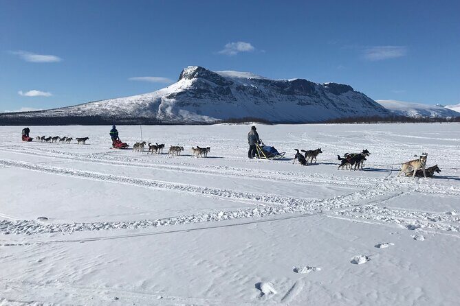 Dogsledding in the Heart of Alaska - Authenticity and Reviews