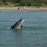 Dolphin Encounter - Final Thoughts: Is It Worth It?