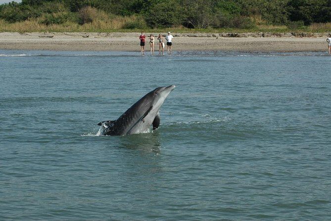 Dolphin Encounter - Final Thoughts: Is It Worth It?