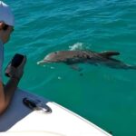 Dolphin & Snorkeling Key West - The Itinerary: What to Expect on Your Day Out