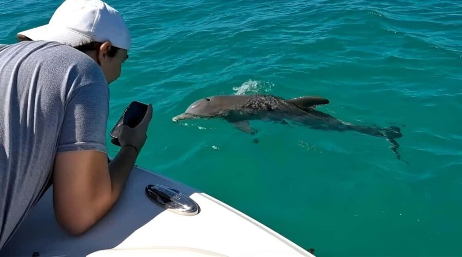 Dolphin & Snorkeling Key West - The Itinerary: What to Expect on Your Day Out