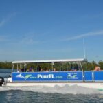 Dolphin Watch/Eco Cruise - Who Would Enjoy This Tour Most?