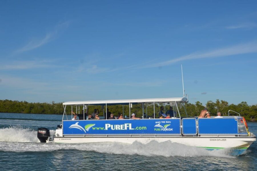 Dolphin Watch/Eco Cruise - Who Would Enjoy This Tour Most?