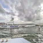 Dolphin Watching aboard the Cold Mil Fleet - Who Will Love This Tour?