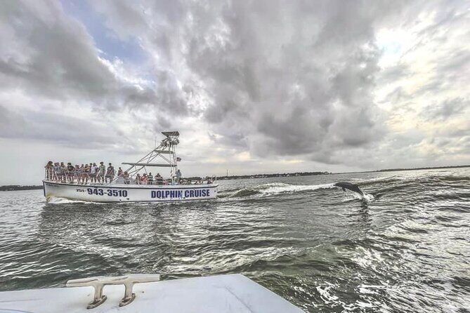Dolphin Watching aboard the Cold Mil Fleet - Who Will Love This Tour?
