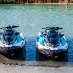 Dolphin Watching Jet Ski Tour - Price and Value: Is It Worth It?