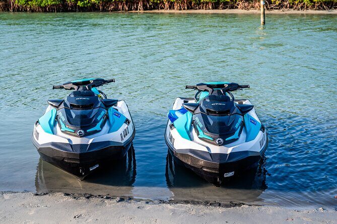 Dolphin Watching Jet Ski Tour - Price and Value: Is It Worth It?