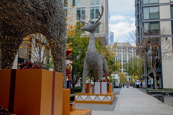 Downtown DC Holiday Tour: Lights, Decorations & Festive Cheer - Practical Details and What to Expect