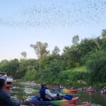 Downtown Houston Bat and Skyline Kayaking Tour - Who Will Love This Tour?