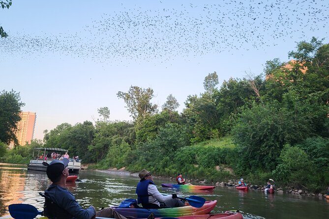 Downtown Houston Bat and Skyline Kayaking Tour - Who Will Love This Tour?