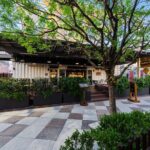 Downtown Las Vegas Cocktail Tour: A Self-Guided Adventure - The Stops: A Closer Look