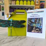 Dragonfly Suncatcher Art Kit in Estes Park - Who Will Love the Dragonfly Suncatcher?