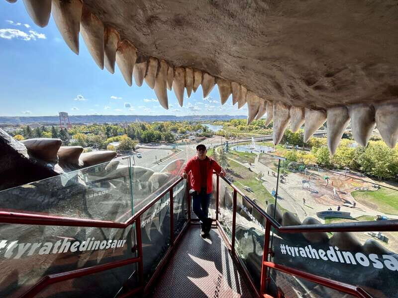 Drumheller Full-day Private Sightseeing Tour - Authentic Perspectives from Travelers