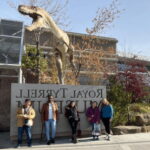 Drumheller Full Day: Tyrrell Museum & Canyon Adventure - The Practicalities and Value