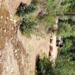 Durango: Waterfalls and Mountains La Plata Canyon Jeep Tour - Why This Tour Offers Great Value
