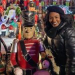 Dyker Heights Christmas Lights and NYC Skyline View Bus Tour - The Itinerary Breakdown