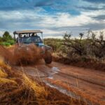 East Zion: Cliffs Sunset and Backcountry Off-Road Jeep Tour - Authentic Feedback from Travelers