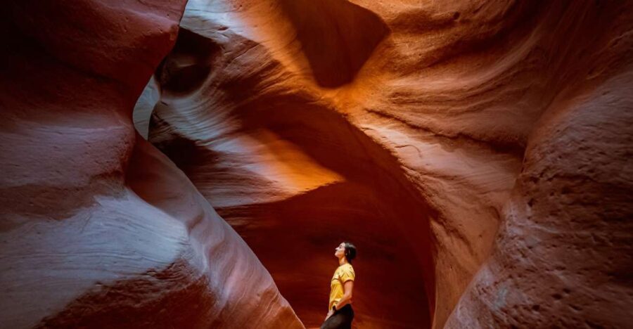 East Zion: Crimson Slot Canyon Exploration and UTV Tour - What to Expect During the Tour