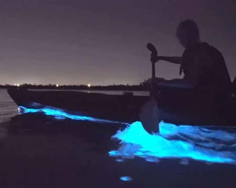 Eastsound: Orcas Island Bioluminescent Kayak Tour - The Itinerary and Experience Breakdown