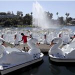 Echo Park Lake: Swan Pedal Boat Rental - The Experience Itself: A Typical Visit
