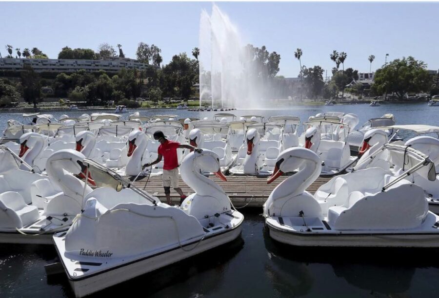 Echo Park Lake: Swan Pedal Boat Rental - The Experience Itself: A Typical Visit