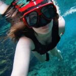 Eco Adventure Cenotes Casa Tortuga!+ Tulum Ruins From Cancun & Playa Del Carmen - Transport and Group Dynamics