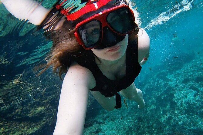 Eco Adventure Cenotes Casa Tortuga!+ Tulum Ruins From Cancun & Playa Del Carmen - Transport and Group Dynamics