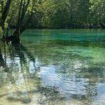 ECO adventure to Cypress Springs by Paddle Board or Kayak - Practical Information