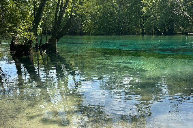 ECO adventure to Cypress Springs by Paddle Board or Kayak - Practical Information