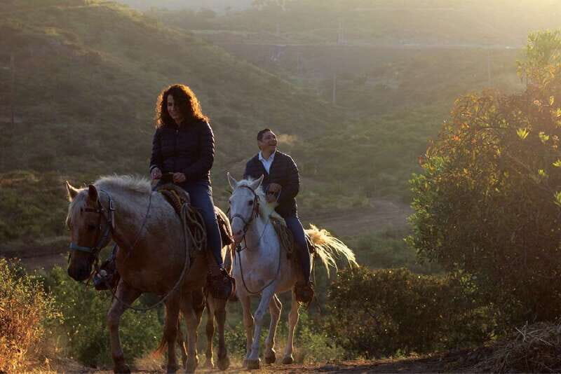 Eco Canyon Horseback Riding Excursion - Everything Included and What to Consider