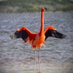 ECOSAFARI - The Cultural and Natural Highlights