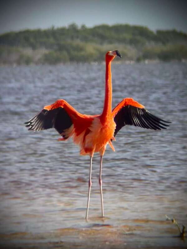 ECOSAFARI - The Cultural and Natural Highlights
