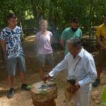Ek Balam Ruins and Cenote Maya Park Day Trip from Playa del Carmen - The Itinerary in Detail