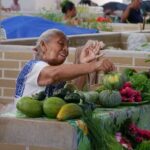 Ek Balam Valladolid and Cenote Day Trip with Lunch - Authenticity and Overall Experience