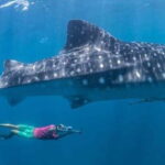 El Cabo: Incredible Private Tour to Espiritu Santo - Final Thoughts: Is This Tour Right for You?