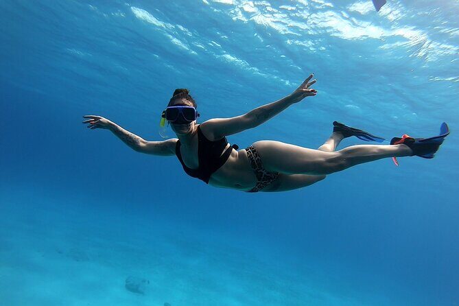 El Cielo Cozumel Snorkeling by Private Boat - What Makes This Tour Stand Out?