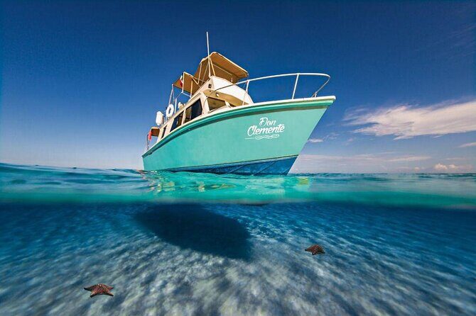 El Cielo Cozumel Snorkeling Tour - All-Inclusive - What Travelers Say